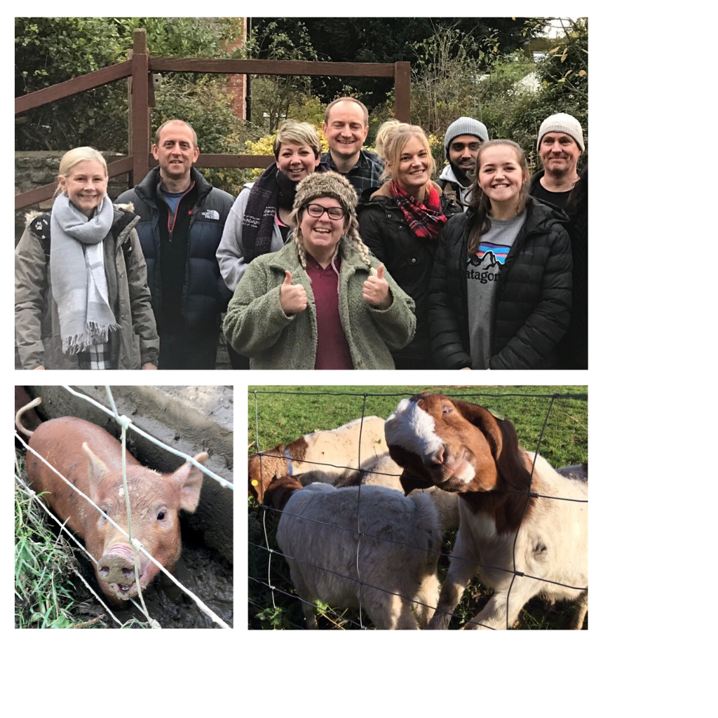 Volunteering with Magdalen Farm | FDB (First Databank)